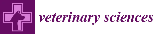 Veterinary Sciences青年学者论坛：功能性宠物食品功效评价方法的研究进展及学术论文写作方法介绍 | MDPI Seminar